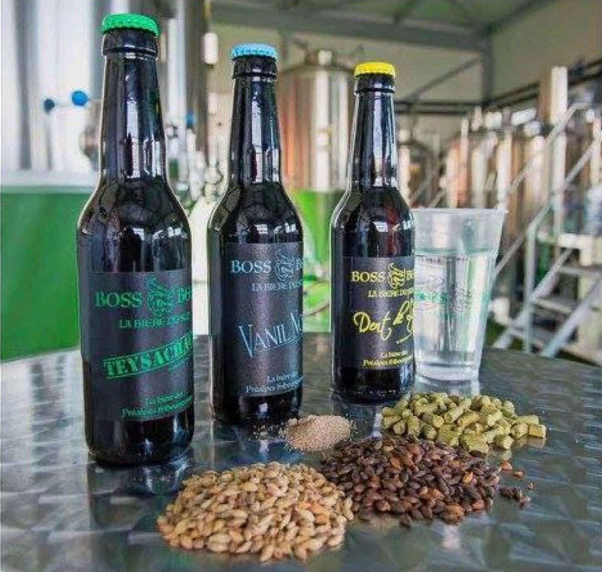 Boss Beer brewery tour & burger | YukonJen in Switzerland